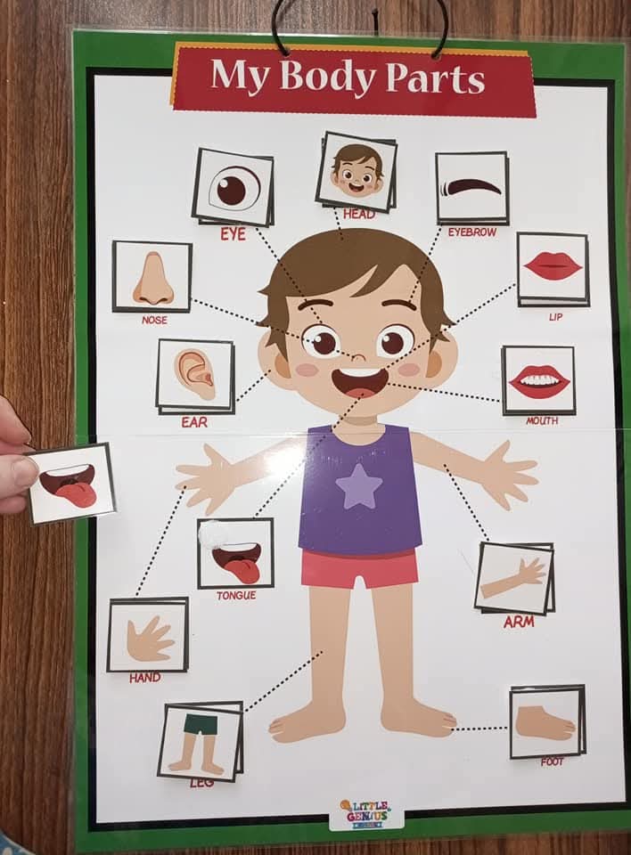 My Body Parts Activity Chart – Little Genius Kiddos